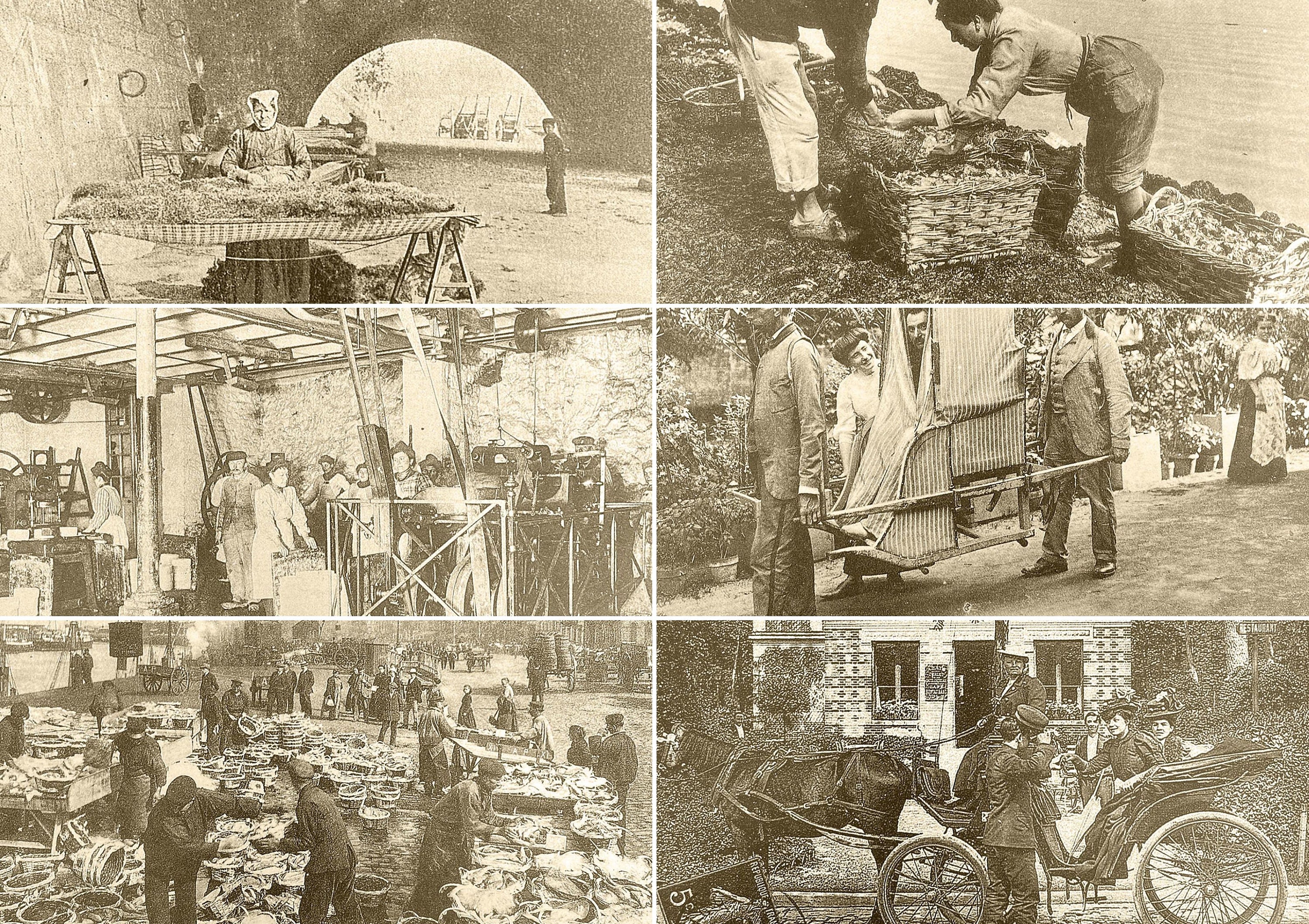 Ancient Professions Postcards Printable Commercial Use Digital Download ...