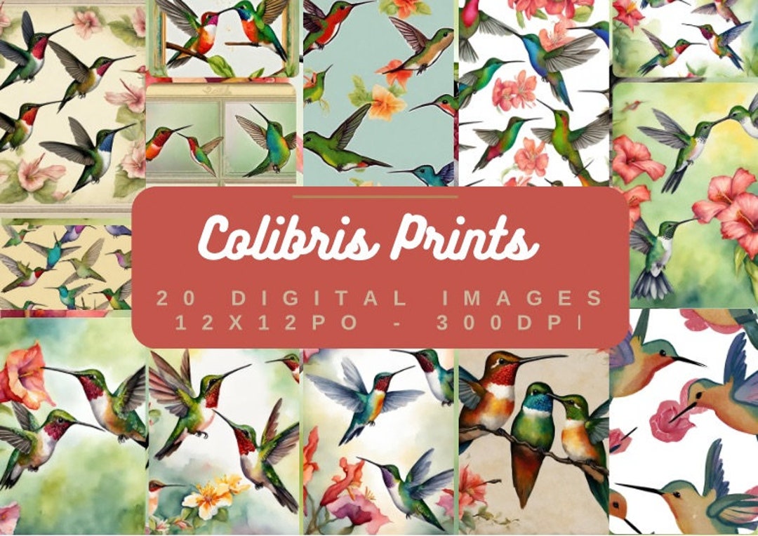 Hummingbirds and Hummingbirds Digital Digital Paper Fantasy - Etsy
