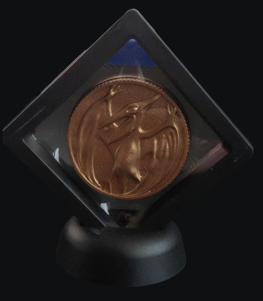Mighty Morphin Power Rangers Display Coins - Etsy