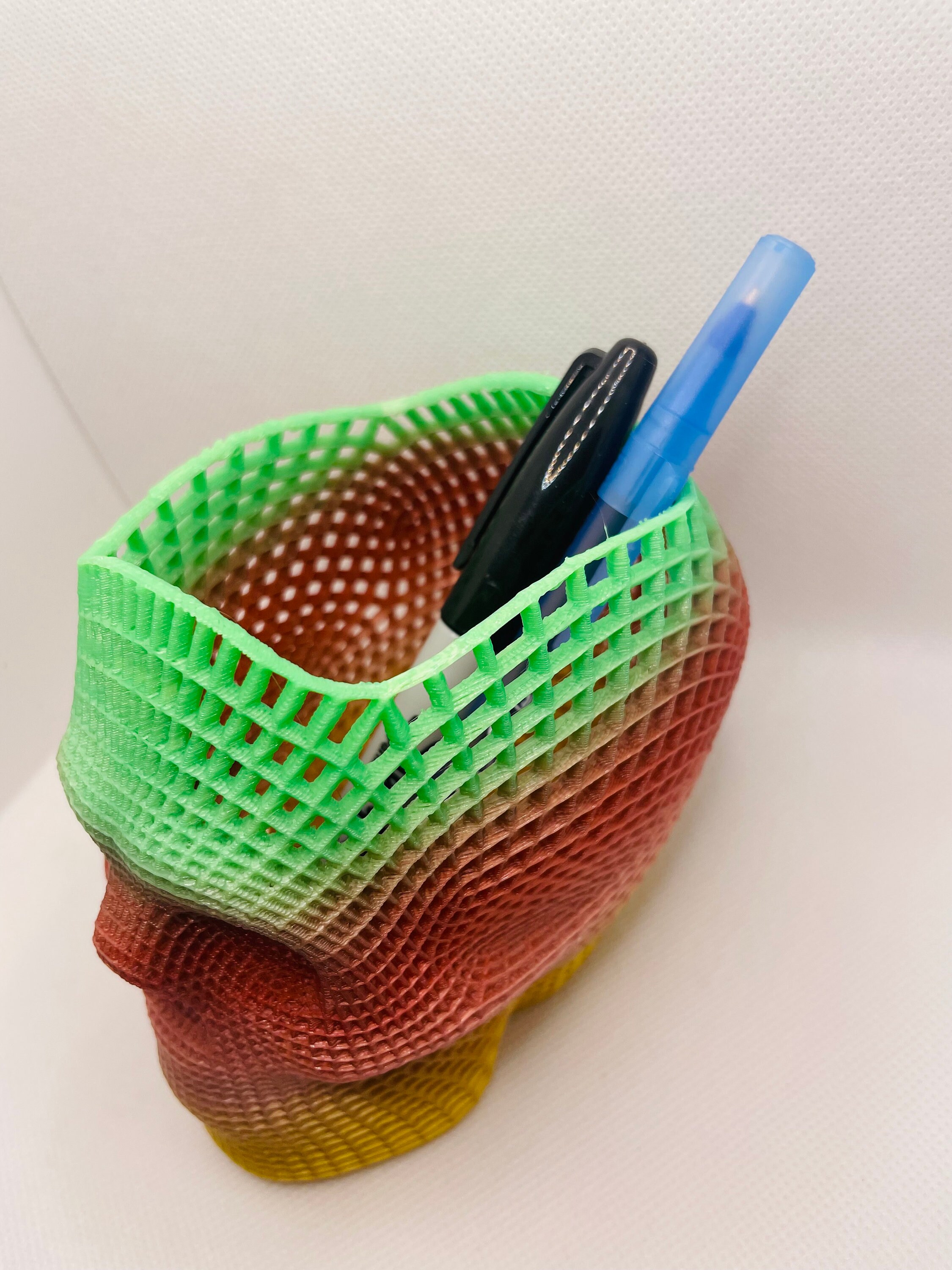 Rainbow Pen Organizer | 3D Printed Mesh Design Skull - Etsy