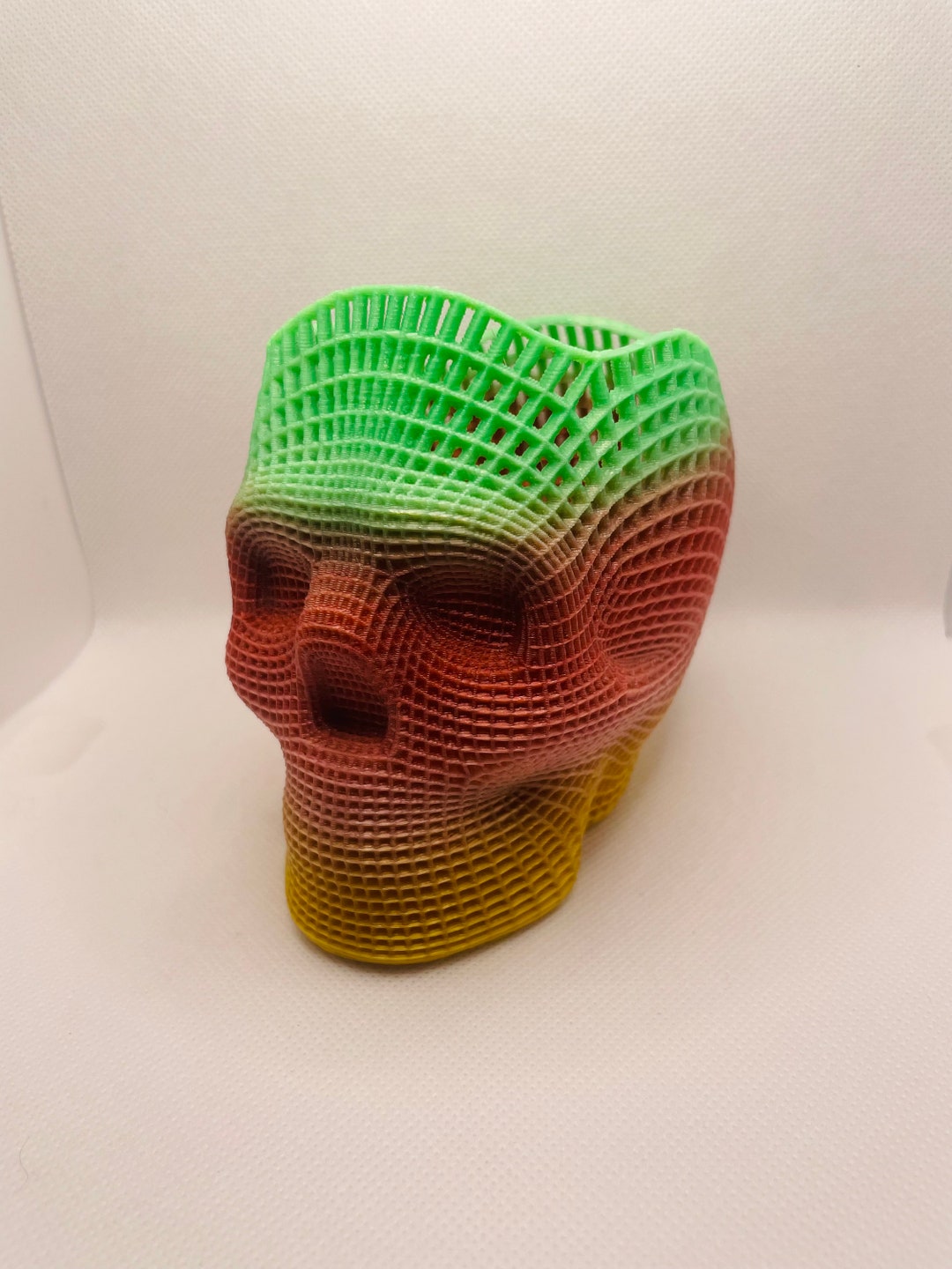 Rainbow Pen Organizer | 3D Printed Mesh Design Skull - Etsy