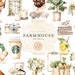 Dreamy Farmhouse Basics Digital Sticker Sheet for Digital Planning ...