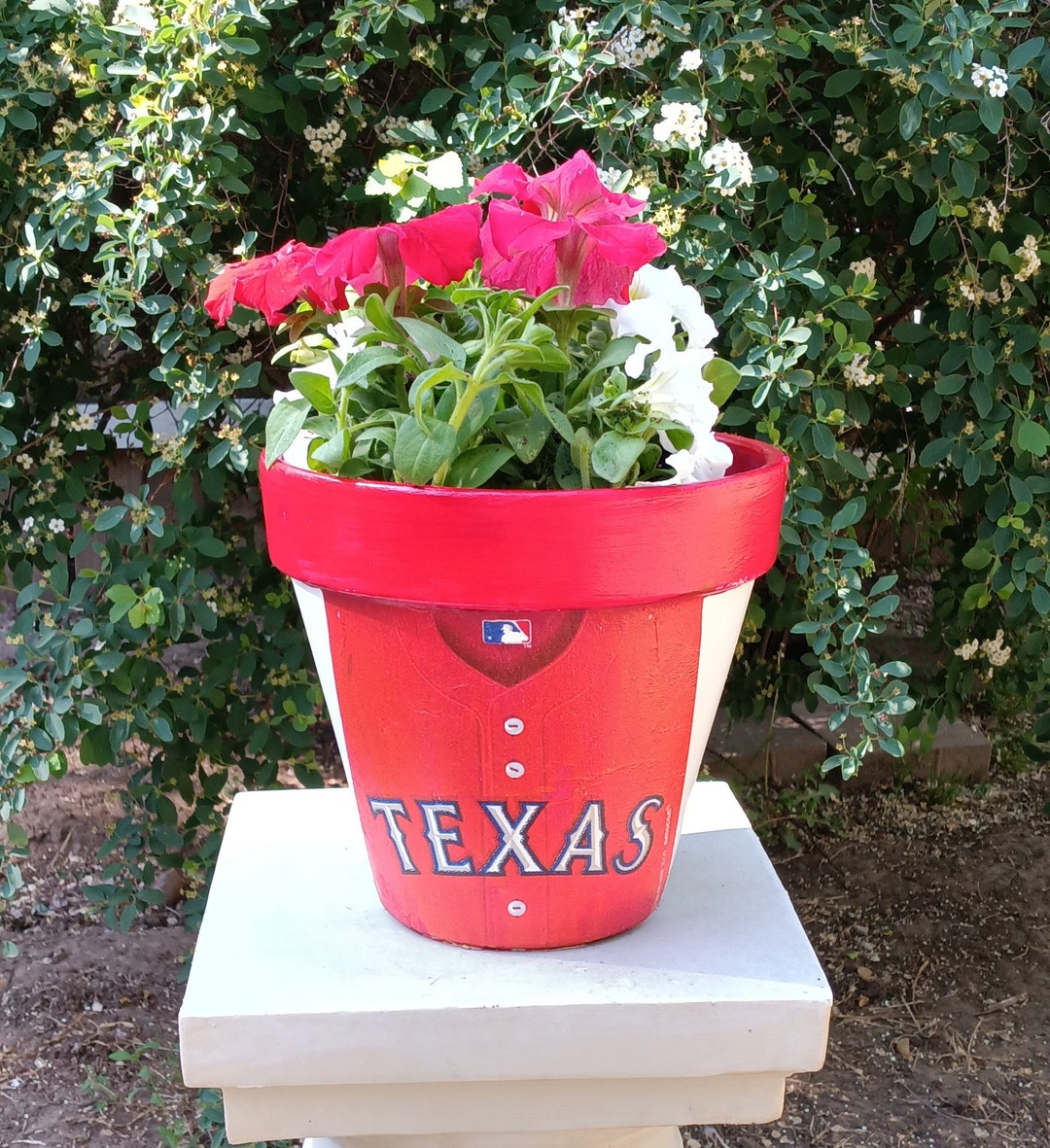 Texas, Rangers, Planter, Flower Pot, MLB Gift, Baseball, Mothers Day ...