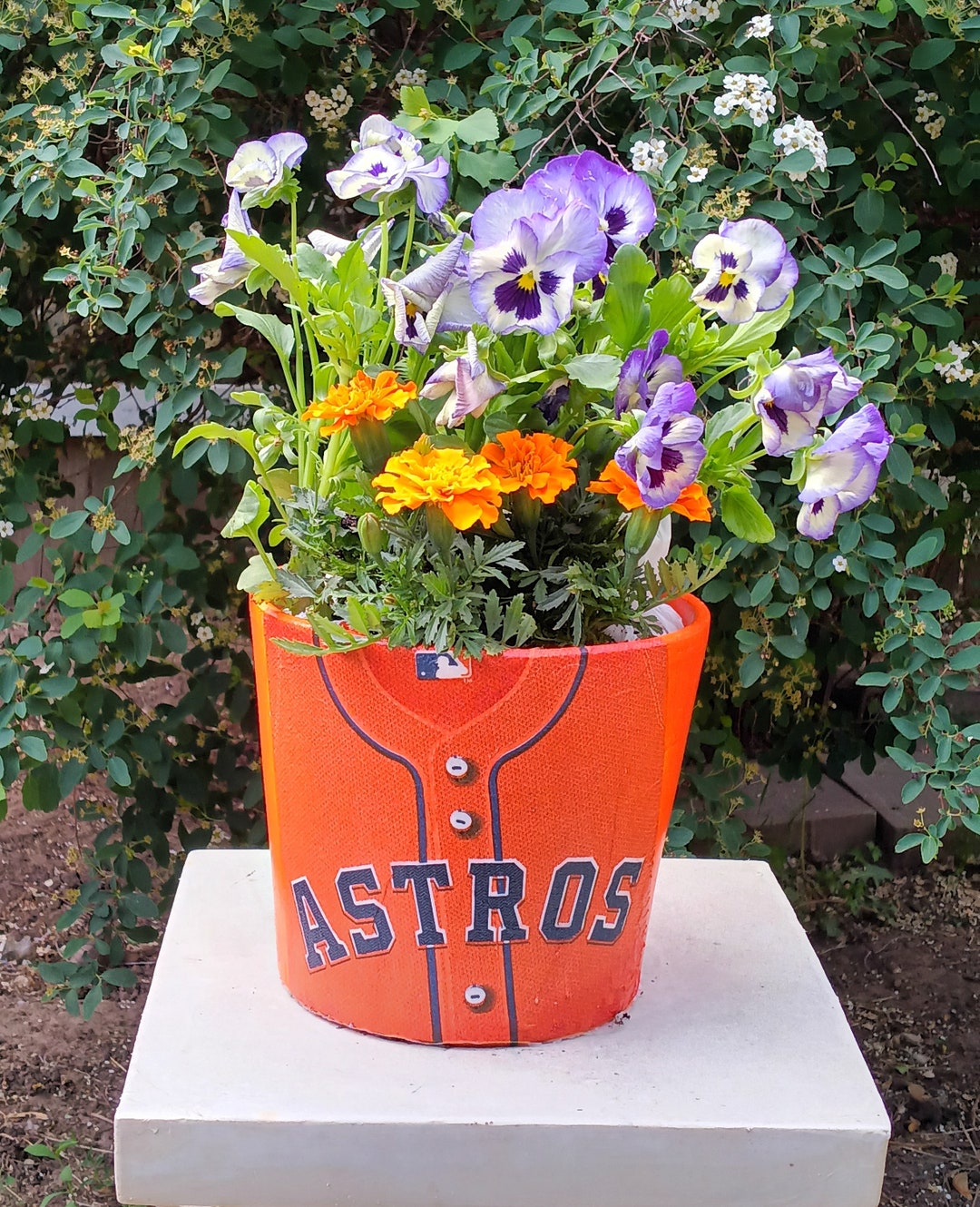 Houston, Astros, Planter, Flower Pot, MLB Gift, Baseball, Mothers Day ...