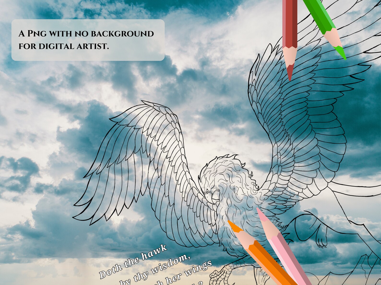 Griffon Mythical Creature • Bible Coloring • Line Drawing • Coloring ...