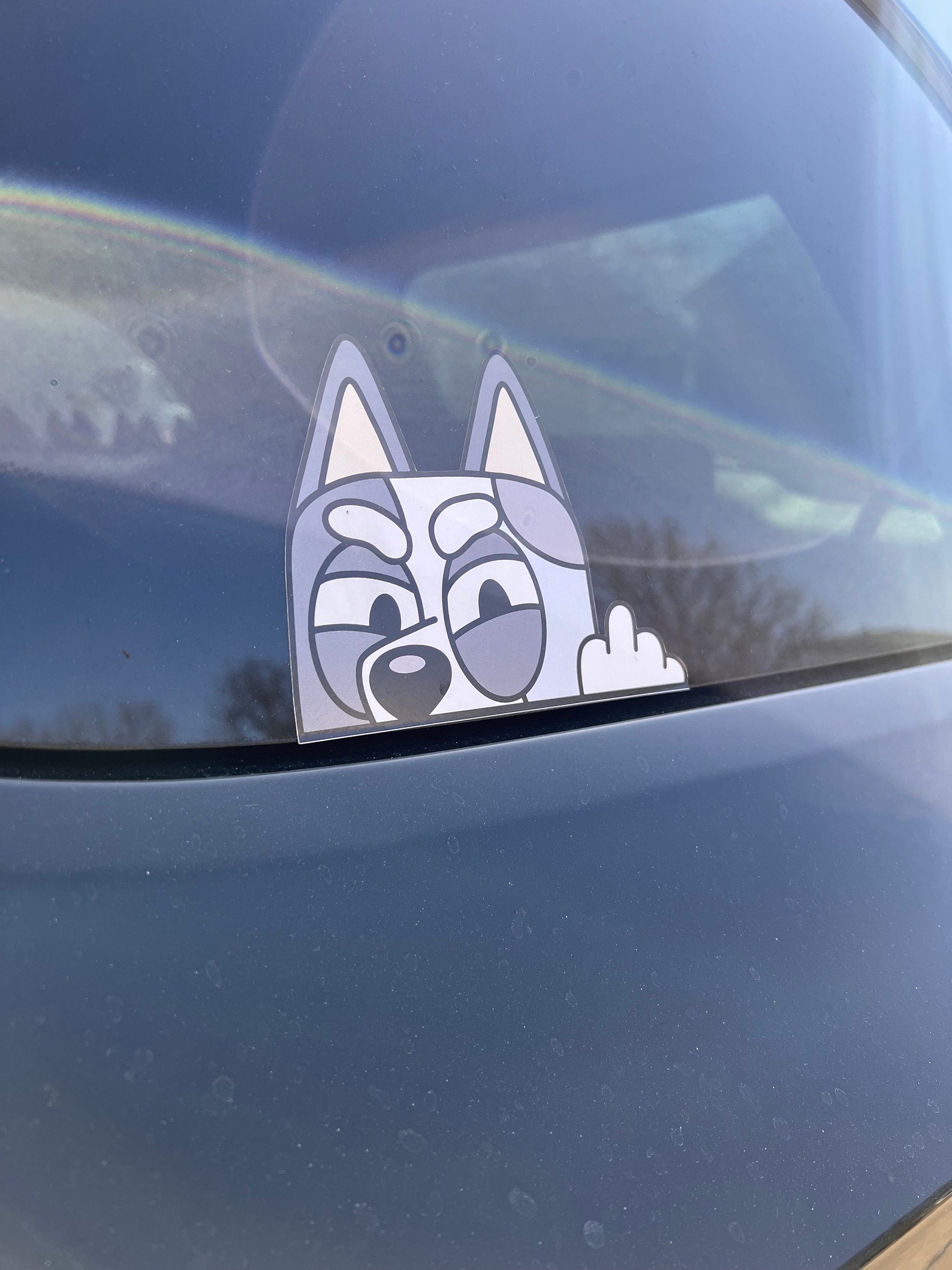 Angry Face Bingo Heeler Car Decal big News Comes With Tracking Number ...
