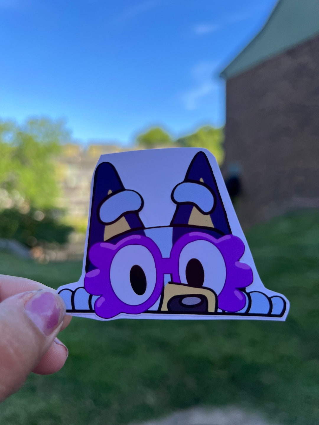 Janet Peeker Sticker Car Decal big News Comes With Tracking Number Now ...