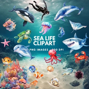Watercolor Sea Life Clipart - Ocean Clipart - PNG Instant Download ...