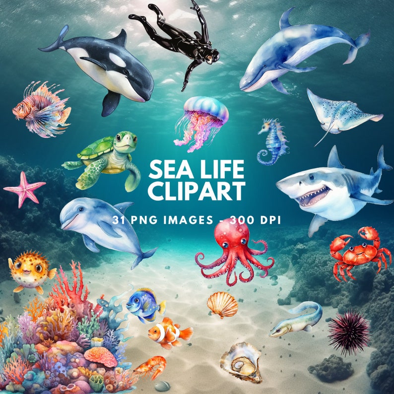 Watercolor Sea Life Clipart - Ocean Clipart - PNG Instant Download ...