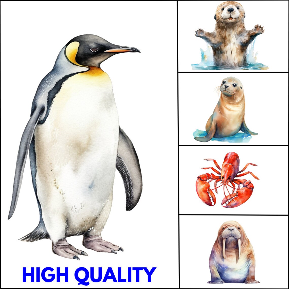 Watercolor Sea Life Clipart - Ocean Clipart - PNG Instant Download ...