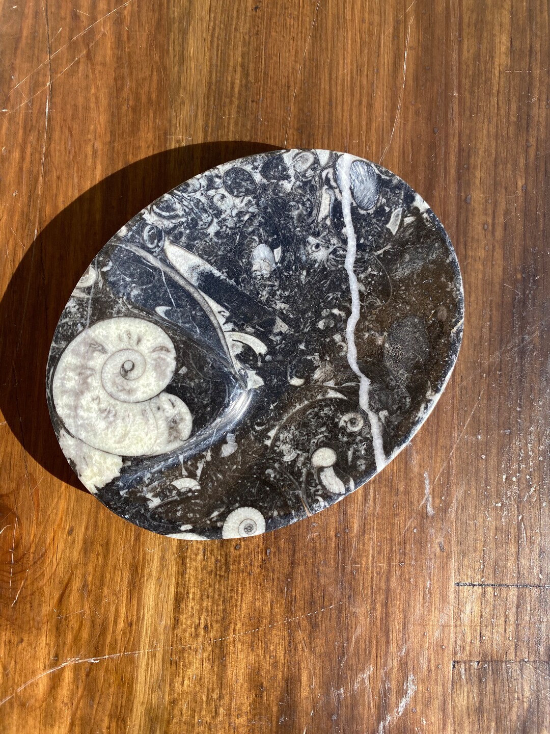 Ammonite Fossil Soap Dish - Etsy