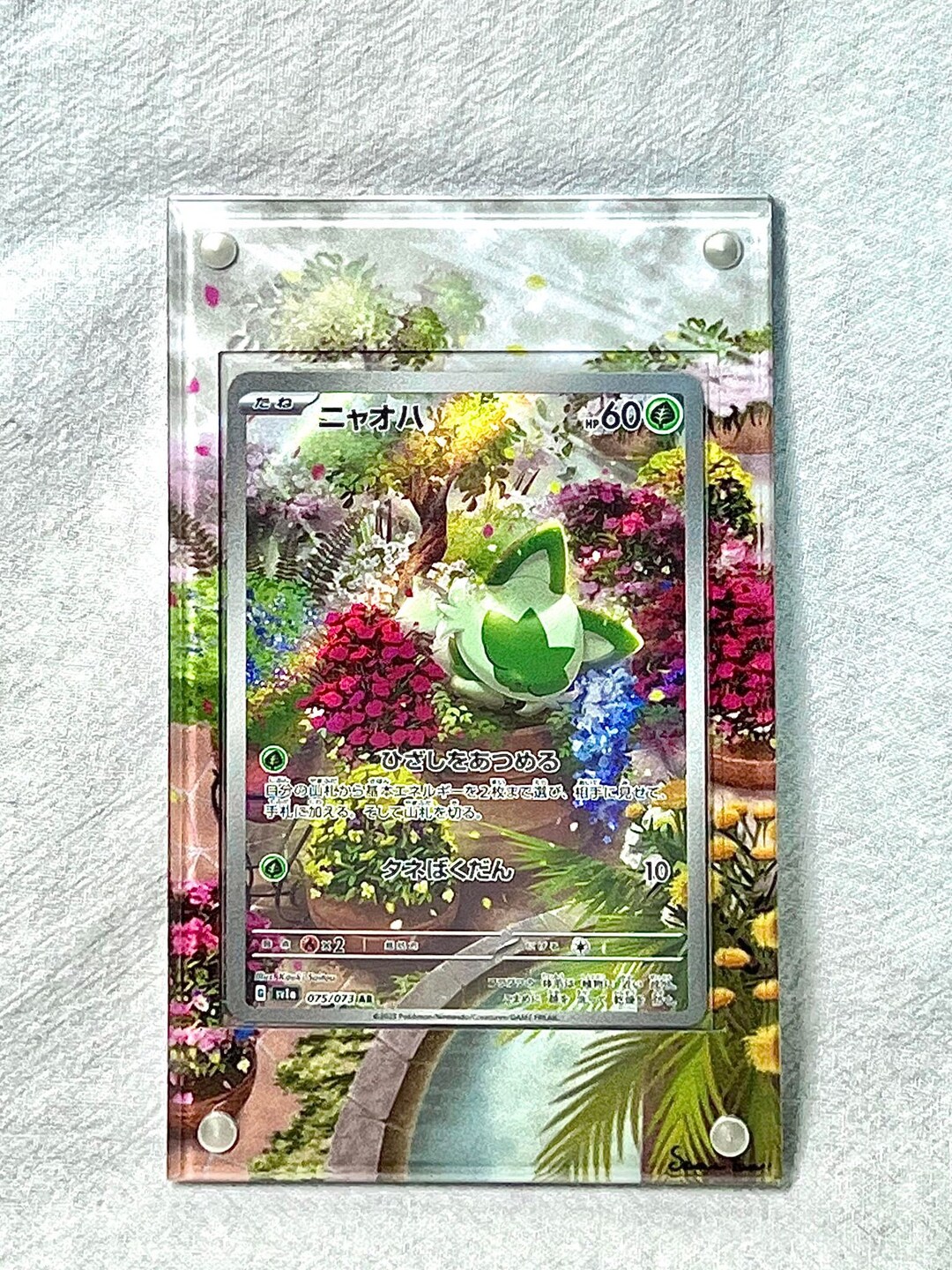 Sprigatito AR Custom Pokémon Card Display Frame Case - Etsy