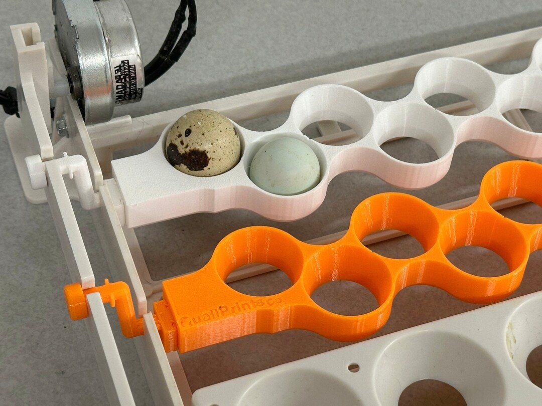 HOVA-BATOR 1610 or Little Giant Incubators Quail Egg Racks for Egg ...