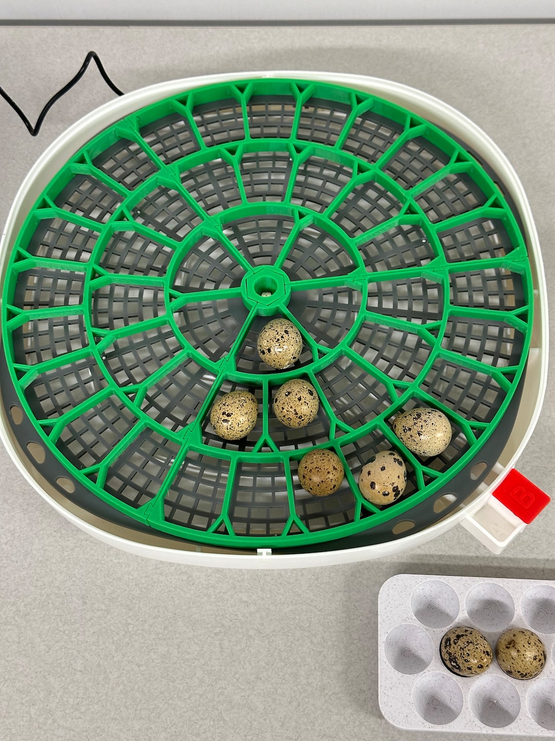 Nurture Right 360 Incubator Trays for Egg Turner | Snap-together ...