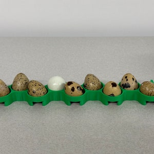 Cimuka CT120 Jumbo Quail Egg Rack for Incubators | CT180SH CT60SH | 3D ...