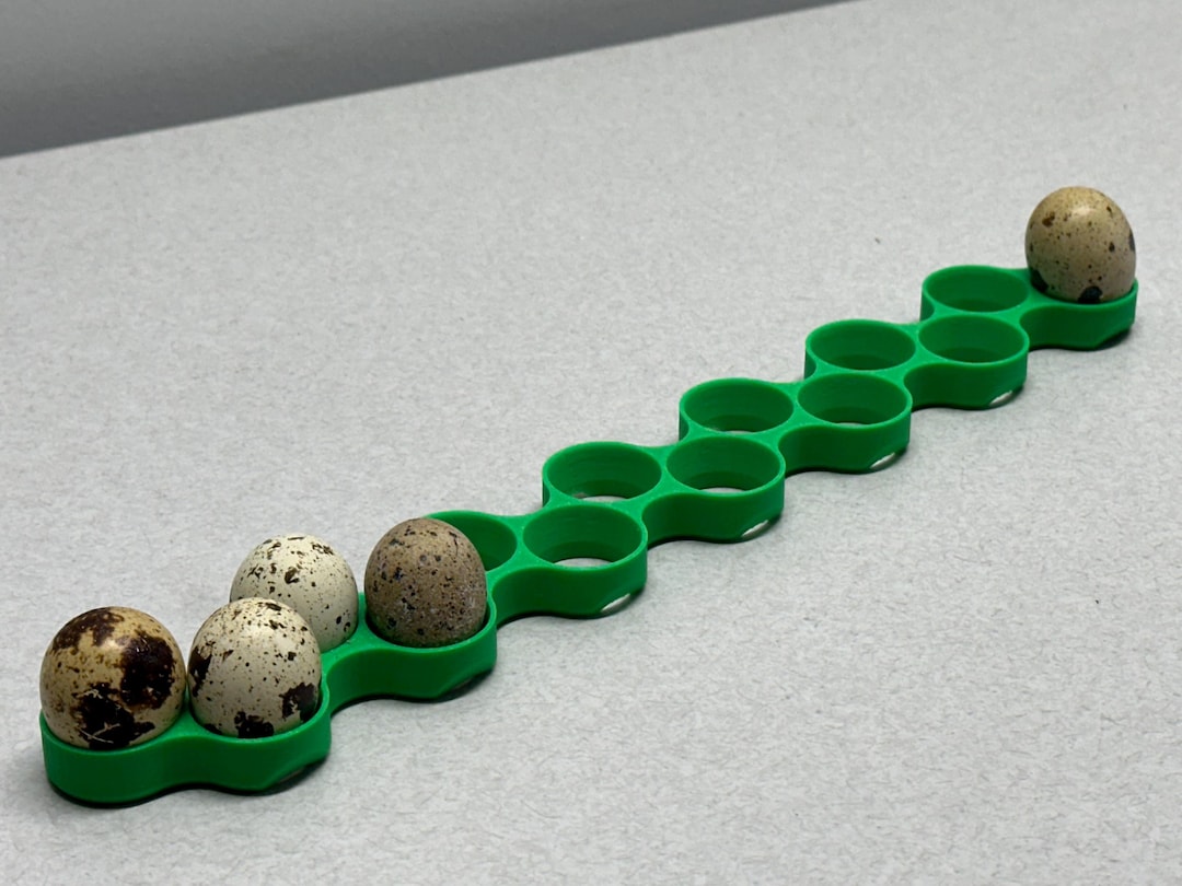 Brisnea Quail Egg Racks for Incubator Baskets Choose Jumbo Regular Tiny ...