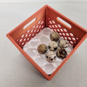 Mini Crates With Flexible Quail Egg Trays | Modern Fresh Egg Storage ...