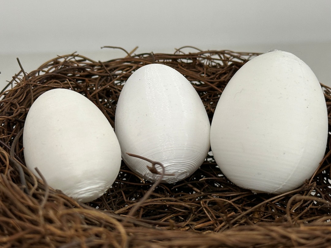 Dummy Eggs – Perfect for Egg-laying Birds! | False Eggs or Pseudo Eggs ...