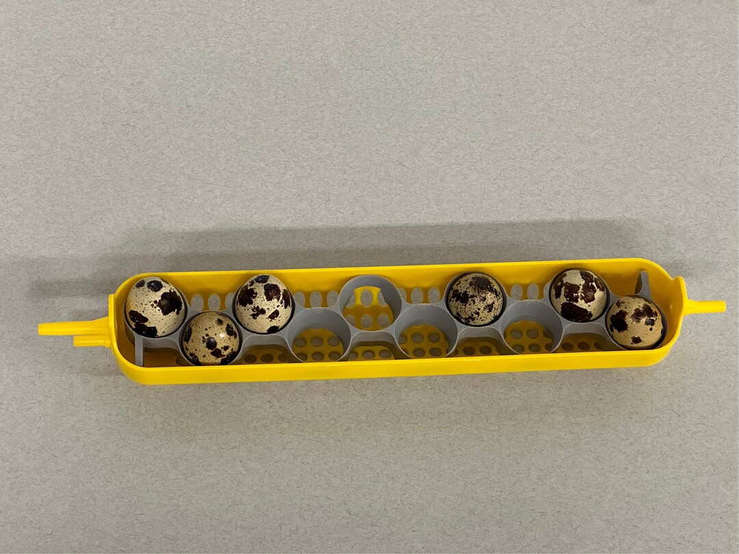 Maticoopx Jumbo Coturnix Quail Egg Rack for Incubators | 3D Printed ...