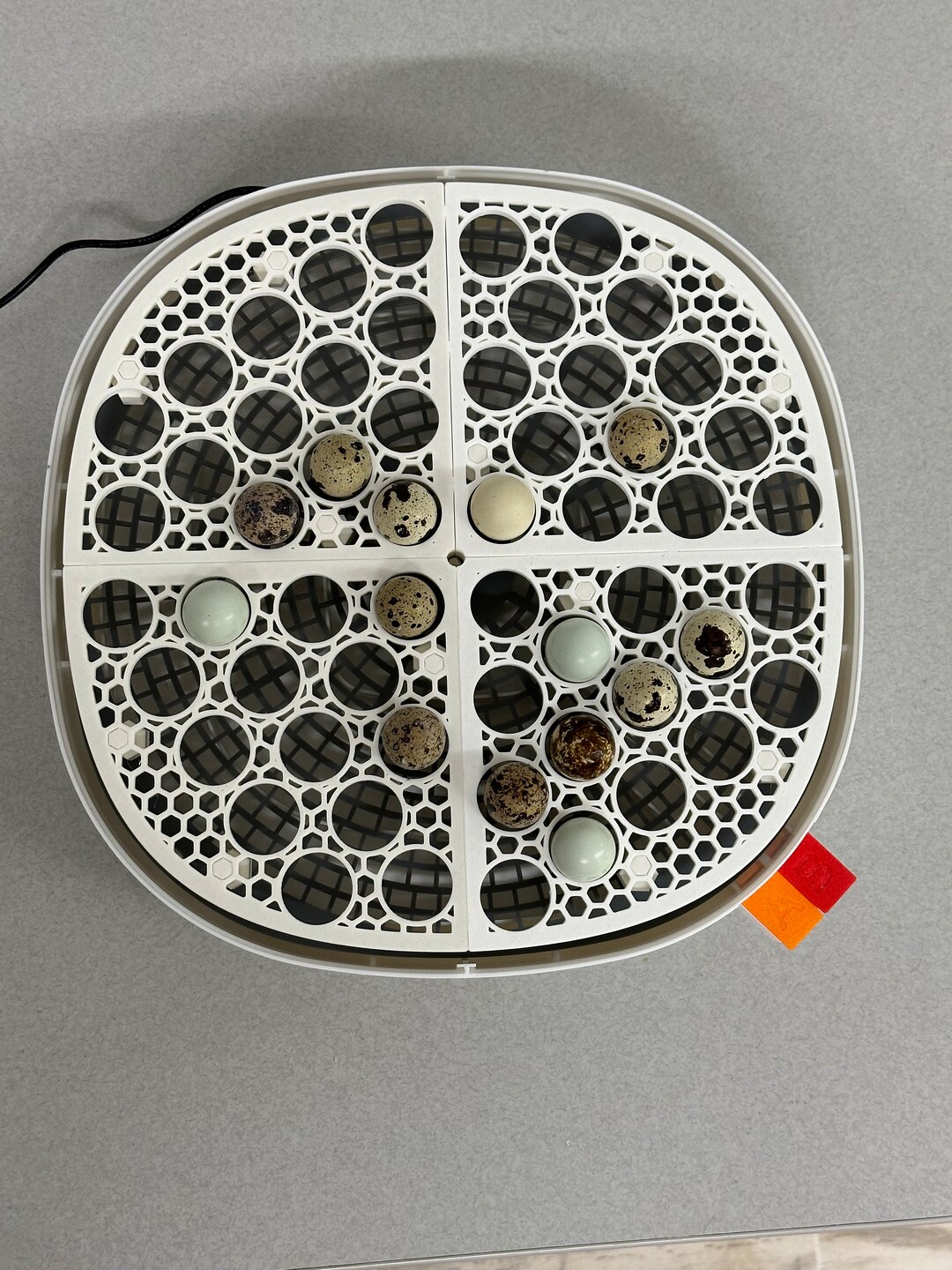 Vertical Incubator Trays for Nurture Right 360 | Preassembled ...