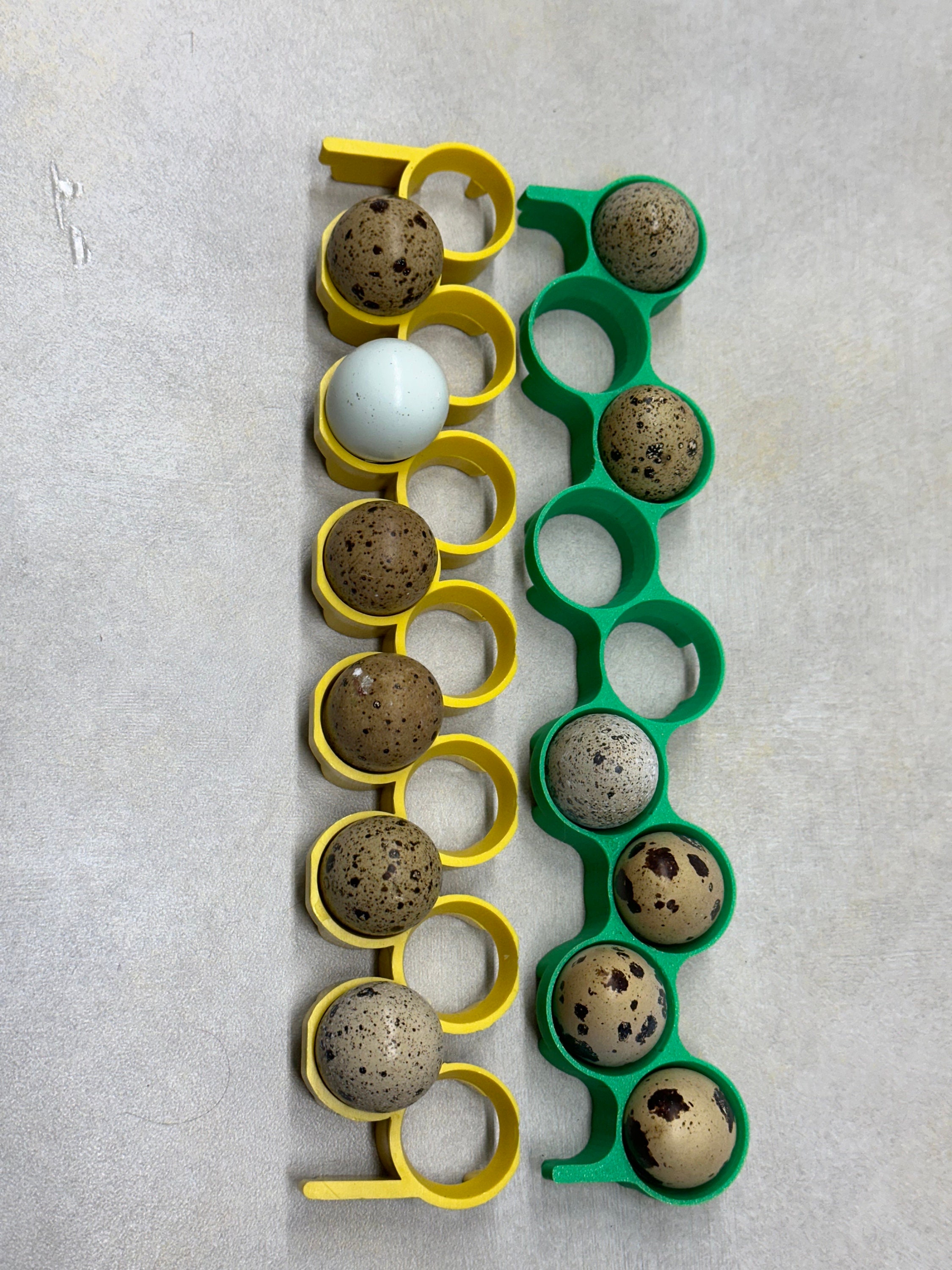 Cimuka CT120 Jumbo Quail Egg Rack for Incubators | CT180SH CT60SH | 3D ...