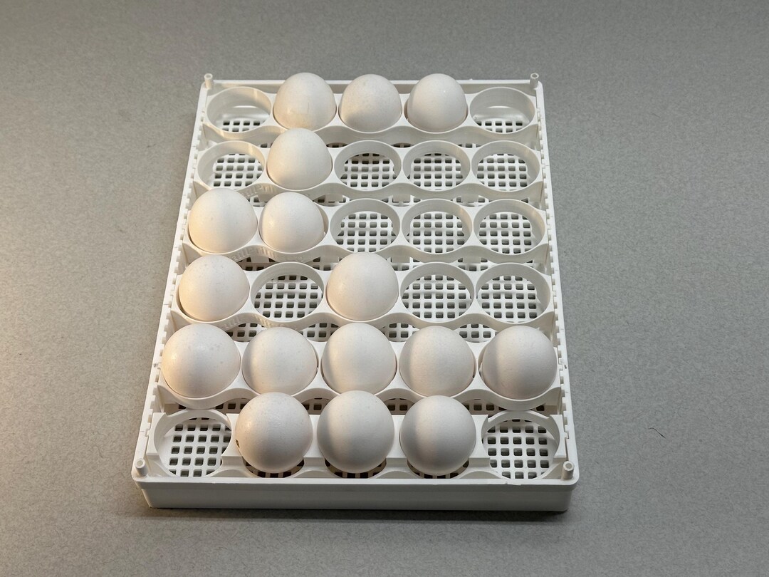 Custom Egg Trays for Setter Baskets (HB350) Hatching Time Cimuka ...