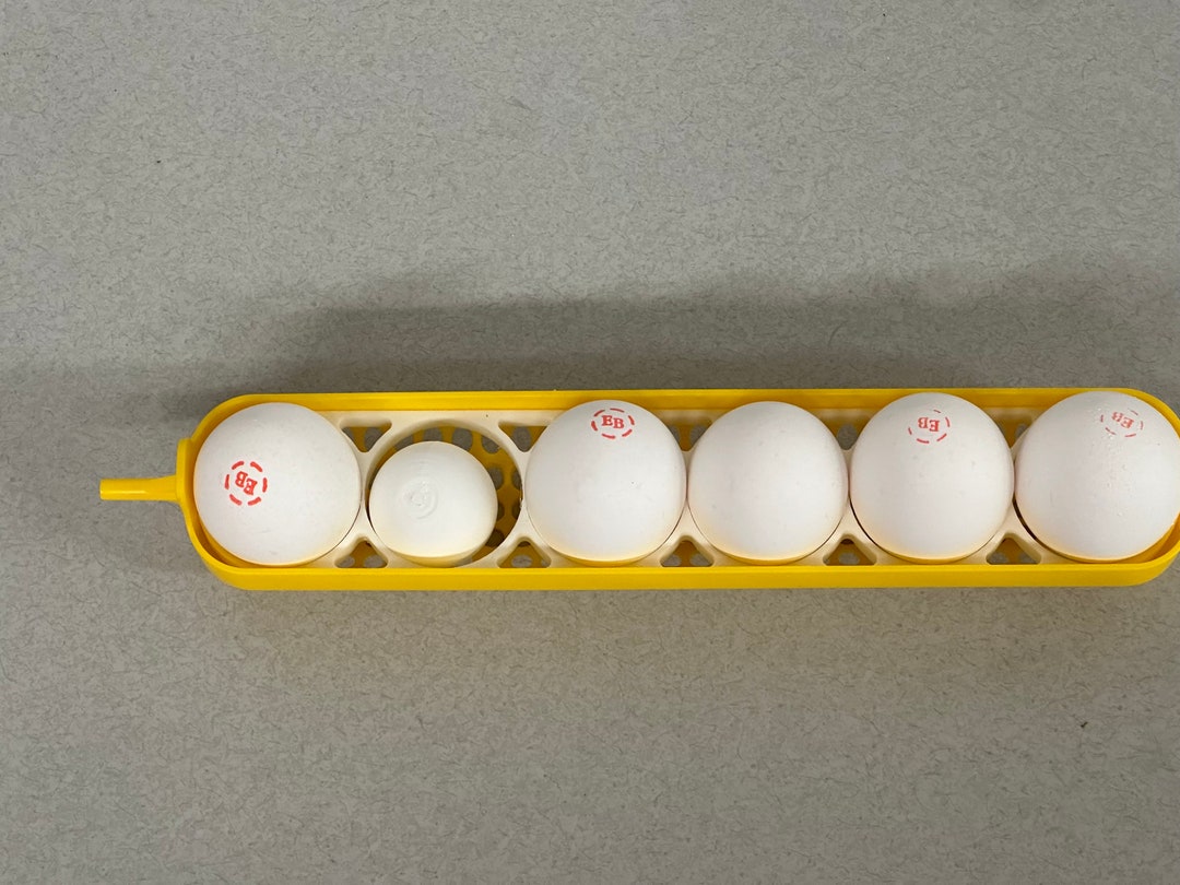 Maticoopx Chicken Egg Rack for Incubator Baskets | 3D Printed | Made in ...