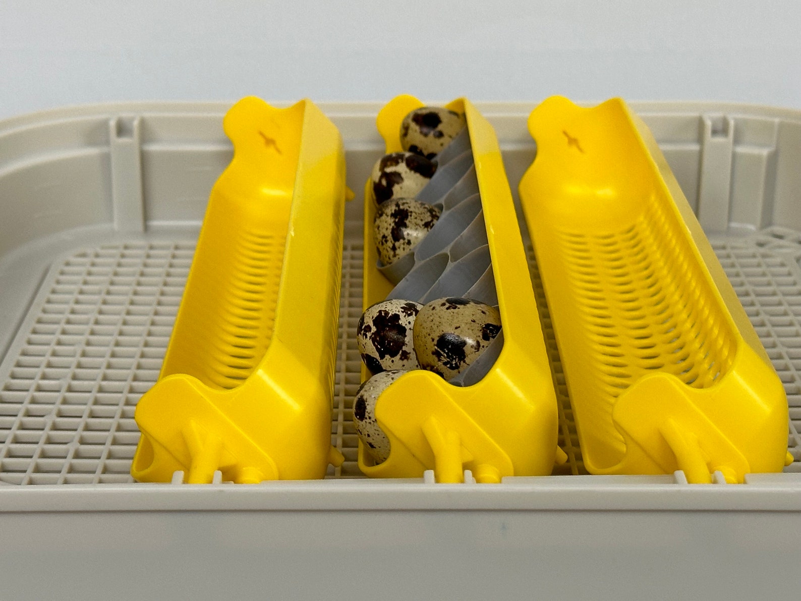 Maticoopx Jumbo Coturnix Quail Egg Rack for Incubators | 3D Printed ...