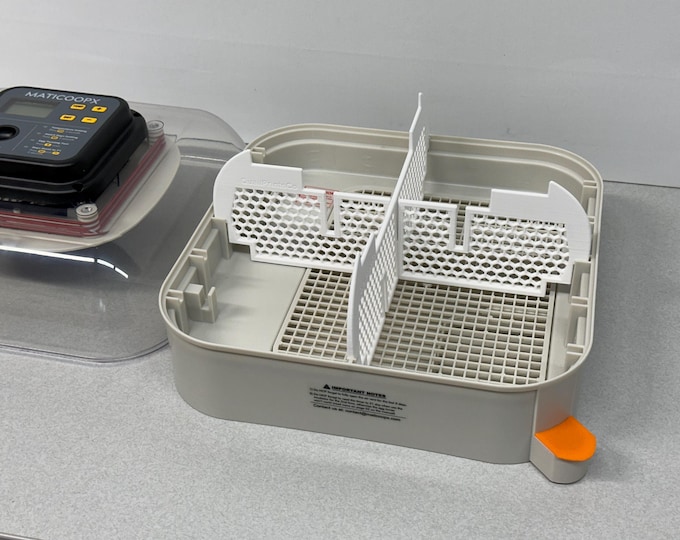 Baby Chick Countdown| Incubator | How Many Days| Chicken Hatch ...