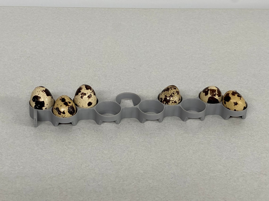 Maticoopx Jumbo Coturnix Quail Egg Rack for Incubators | 3D Printed ...