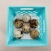 Mini Crates With Flexible Quail Egg Trays | Modern Fresh Egg Storage ...