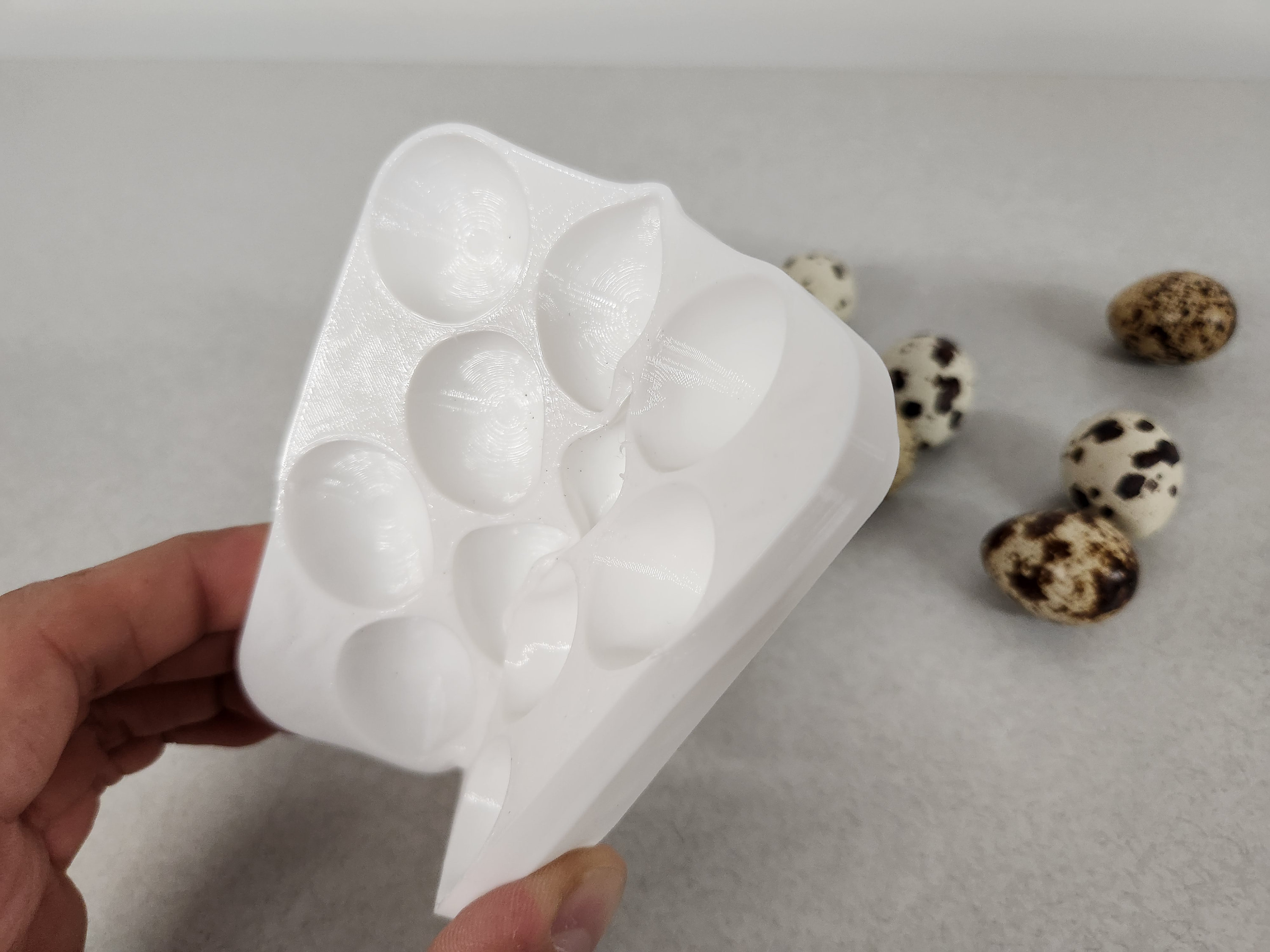 Mini Crates With Flexible Quail Egg Trays | Modern Fresh Egg Storage ...