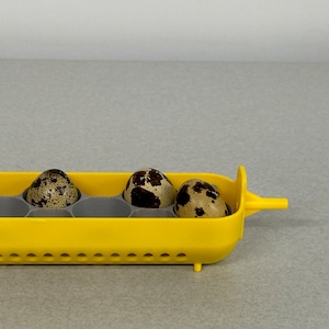 Maticoopx Jumbo Coturnix Quail Egg Rack for Incubators | 3D Printed ...