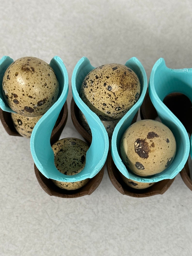 Jumbo Coturnix Quail Egg Tray Stackable (set of 2 Trays) | Custom 3d ...