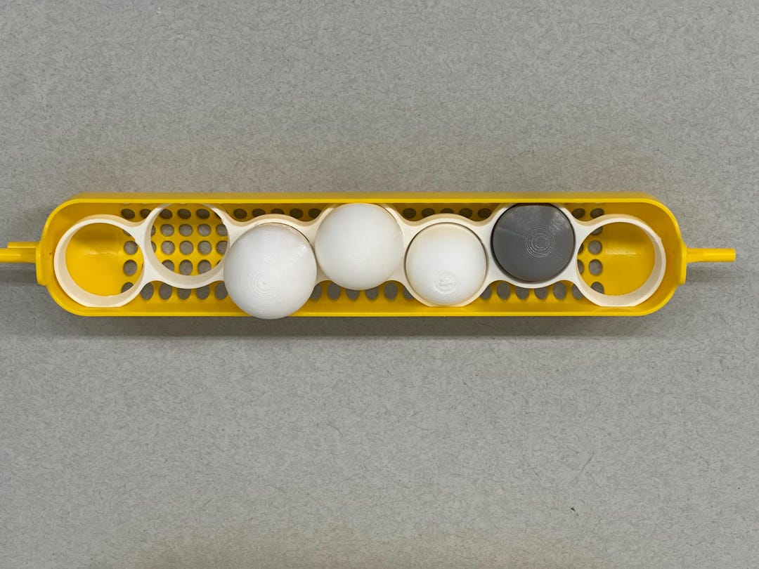 Maticoopx Small Chicken Egg Rack for Incubator Baskets | Bantam or ...