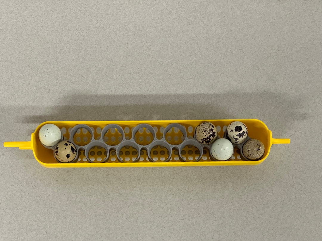 Maticoopx Coturnix Quail Egg Rack for Incubators | 3D Printed | Made in ...