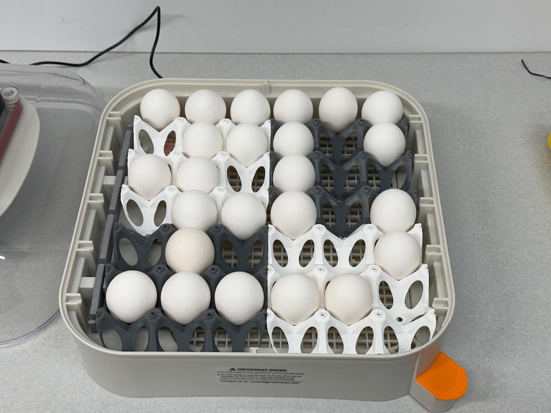 Upright Egg Support Tray for Maticoopx 30 Incubator and Others ...