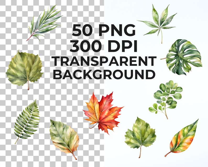 Green Leaf Watercolor Clipart Collection, Tropical Leaves, Leaf ...