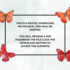 Watercolor Butterflies Clipart Collection, Colorful Butterfly Bundles ...