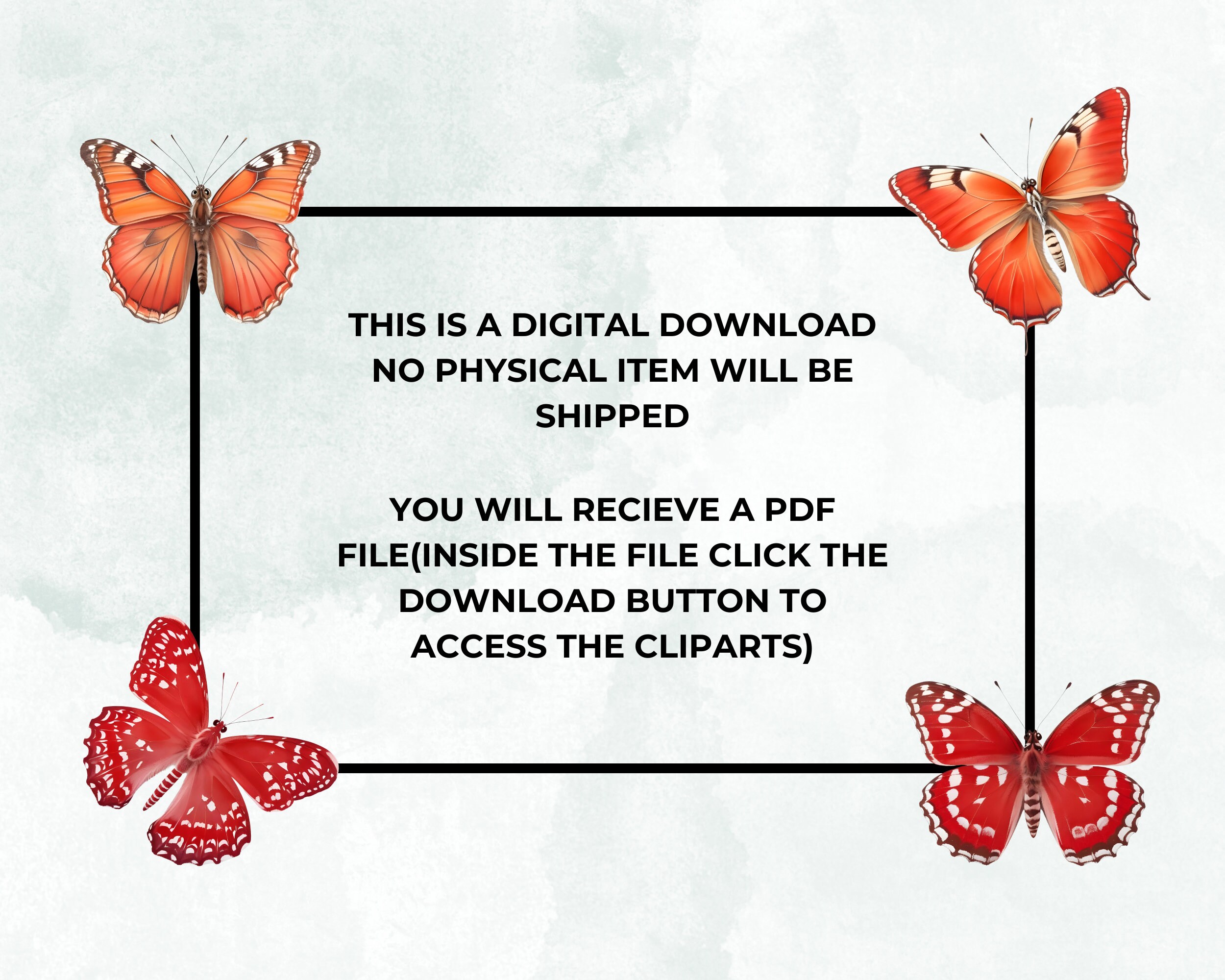 Watercolor Butterflies Clipart Collection, Colorful Butterfly Bundles ...
