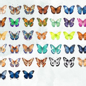Watercolor Butterflies Clipart Collection, Colorful Butterfly Bundles ...
