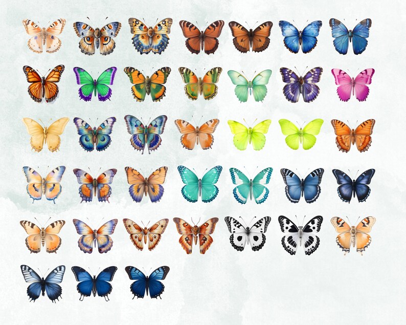 Watercolor Butterflies Clipart Collection, Colorful Butterfly Bundles ...