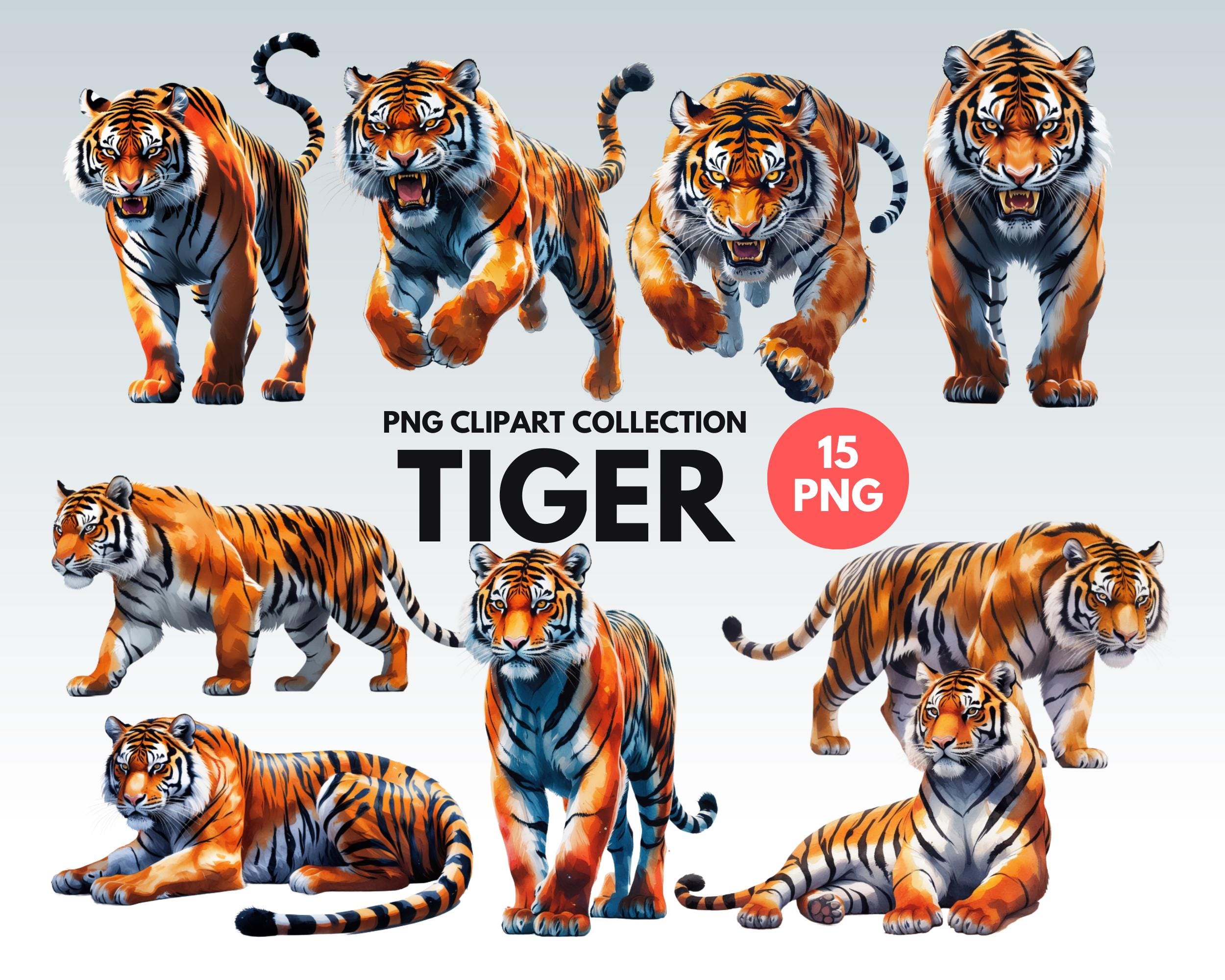 Watercolor Tiger Clipart Bundle, Wild Animals Digital Illustration ...