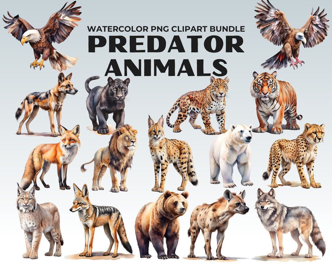 Predator Animals Clipart Bundle, Printable Watercolor Animal, Wild ...