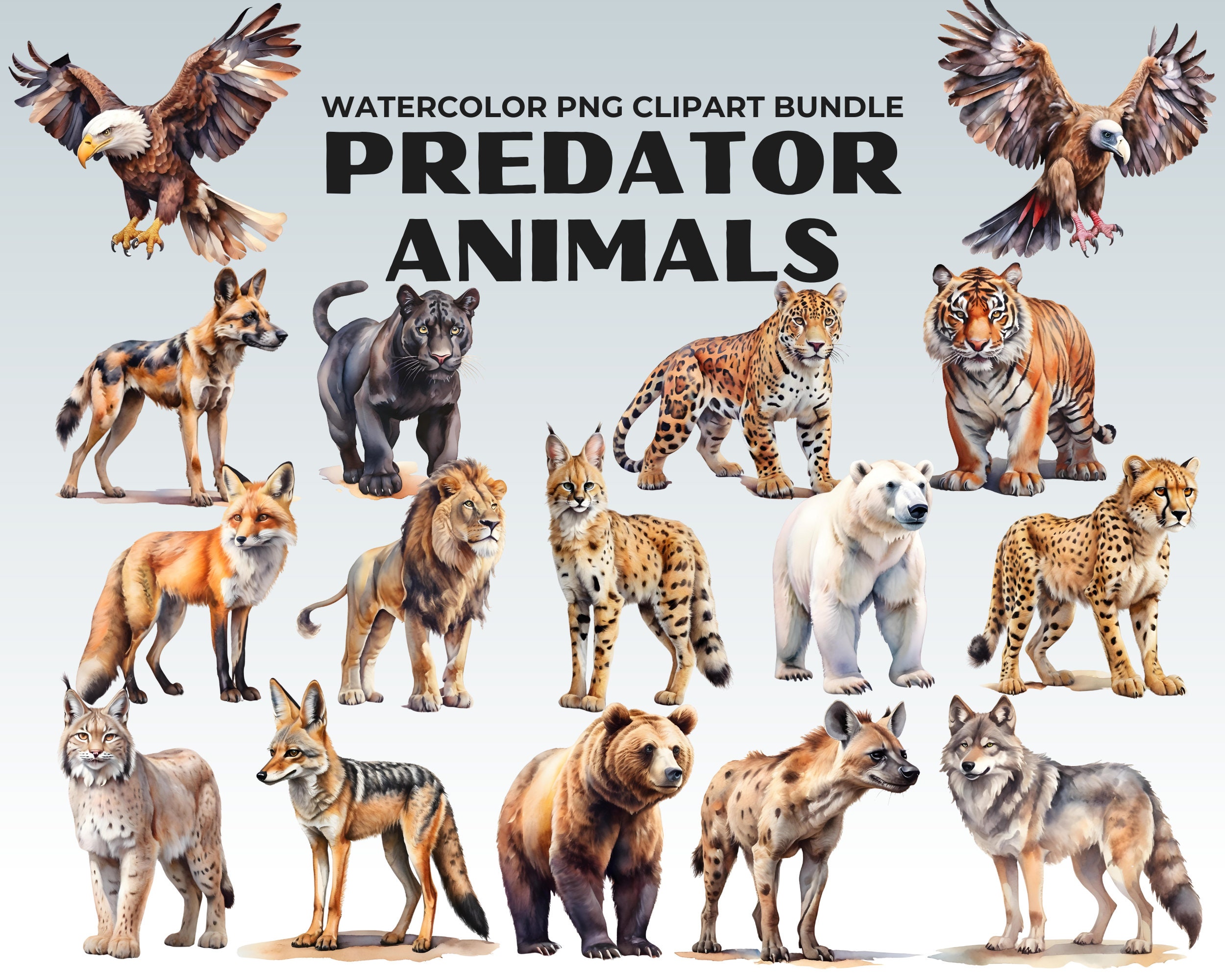 Predator Animals Clipart Bundle, Printable Watercolor Animal, Wild ...
