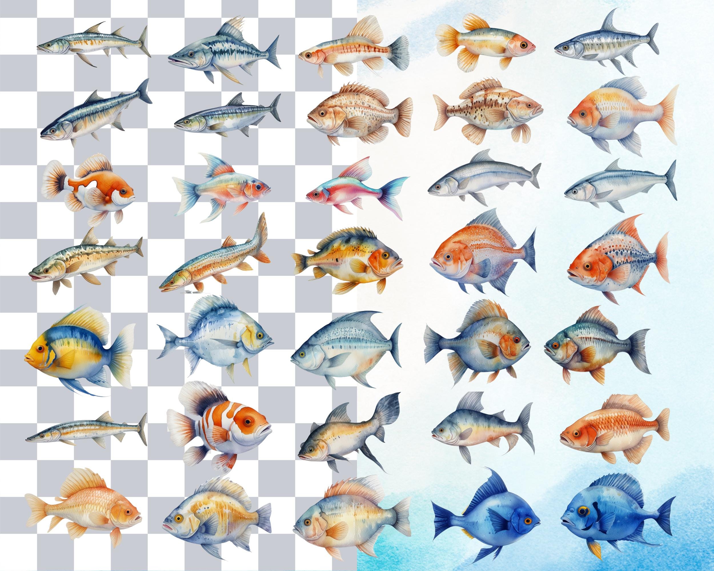 Watercolor Fish Clipart Bundle, Underwater Illustrations, Saltwater ...