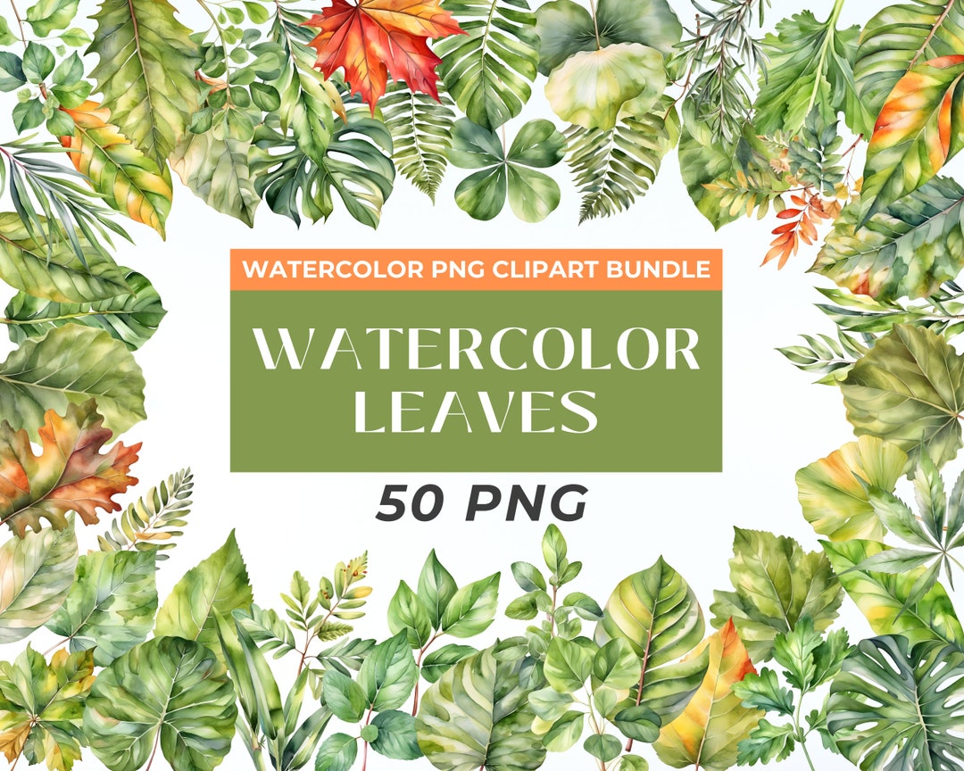 Green Leaf Watercolor Clipart Collection, Tropical Leaves, Leaf ...
