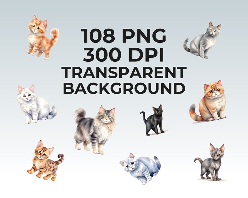 Cat Breeds Watercolor Clipart Bundle, Kittens Illustrations Collections ...