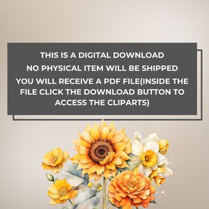 Watercolor Floral Clipart Bundle, Beautiful Flowers Collection, Blooms ...