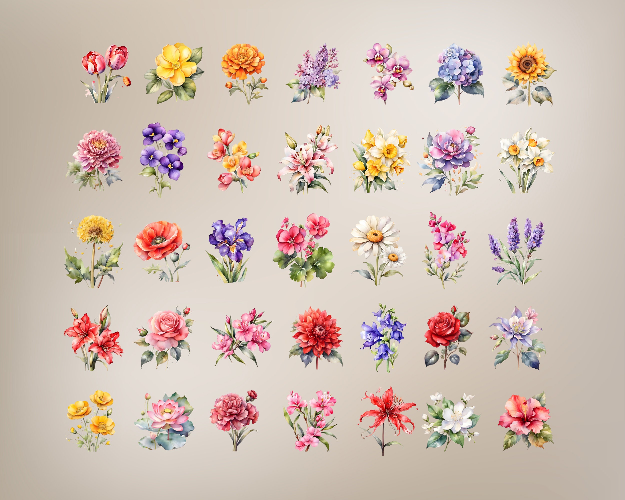 Watercolor Floral Clipart Bundle, Beautiful Flowers Collection, Blooms ...